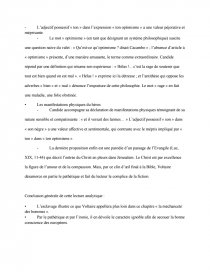 candide chapitre 19 requisitoire contre l esclavage