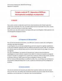 PDF Télécharger rapport de tp exemple Gratuit PDF | PDFprof.com