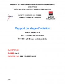 rapport de stage d'initiation est