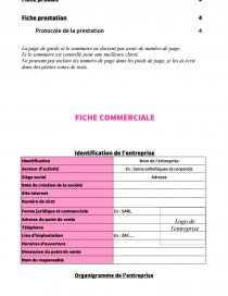 dossier professionnel cap vente option a