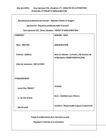 epreuve e31 bac pro arcu exemple